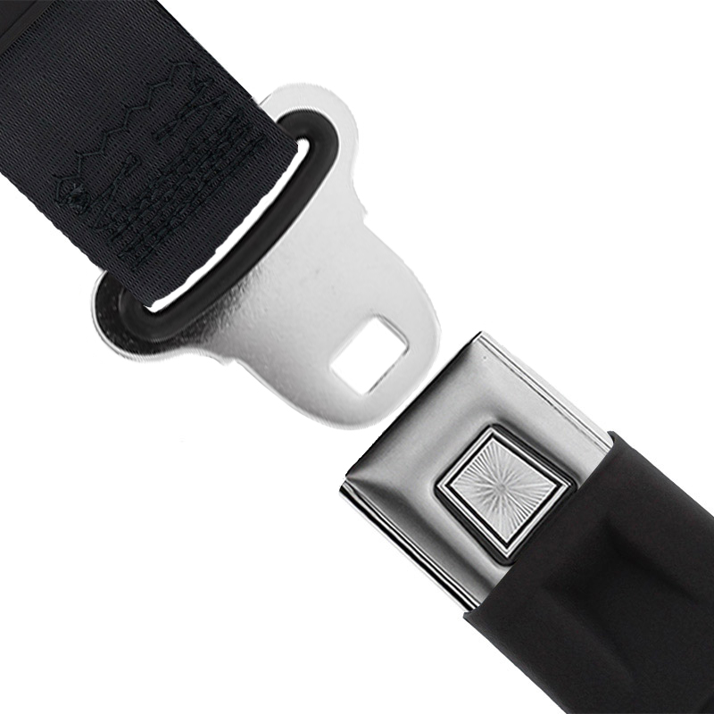2 Point Retractable Lap Belt With Chrome Push Button